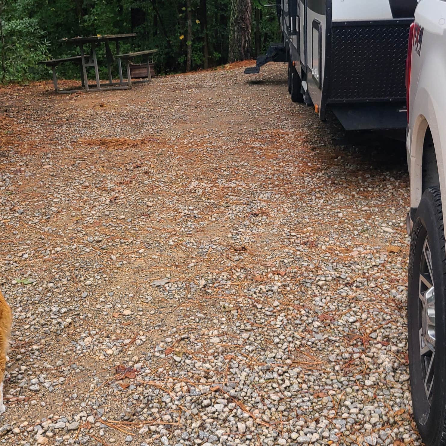 Cross Winds Family Campground | Linwood, NC