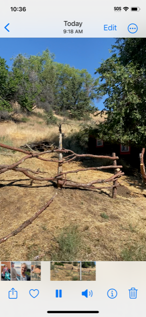 Mitchell Stand Camping | Mitchell, Oregon