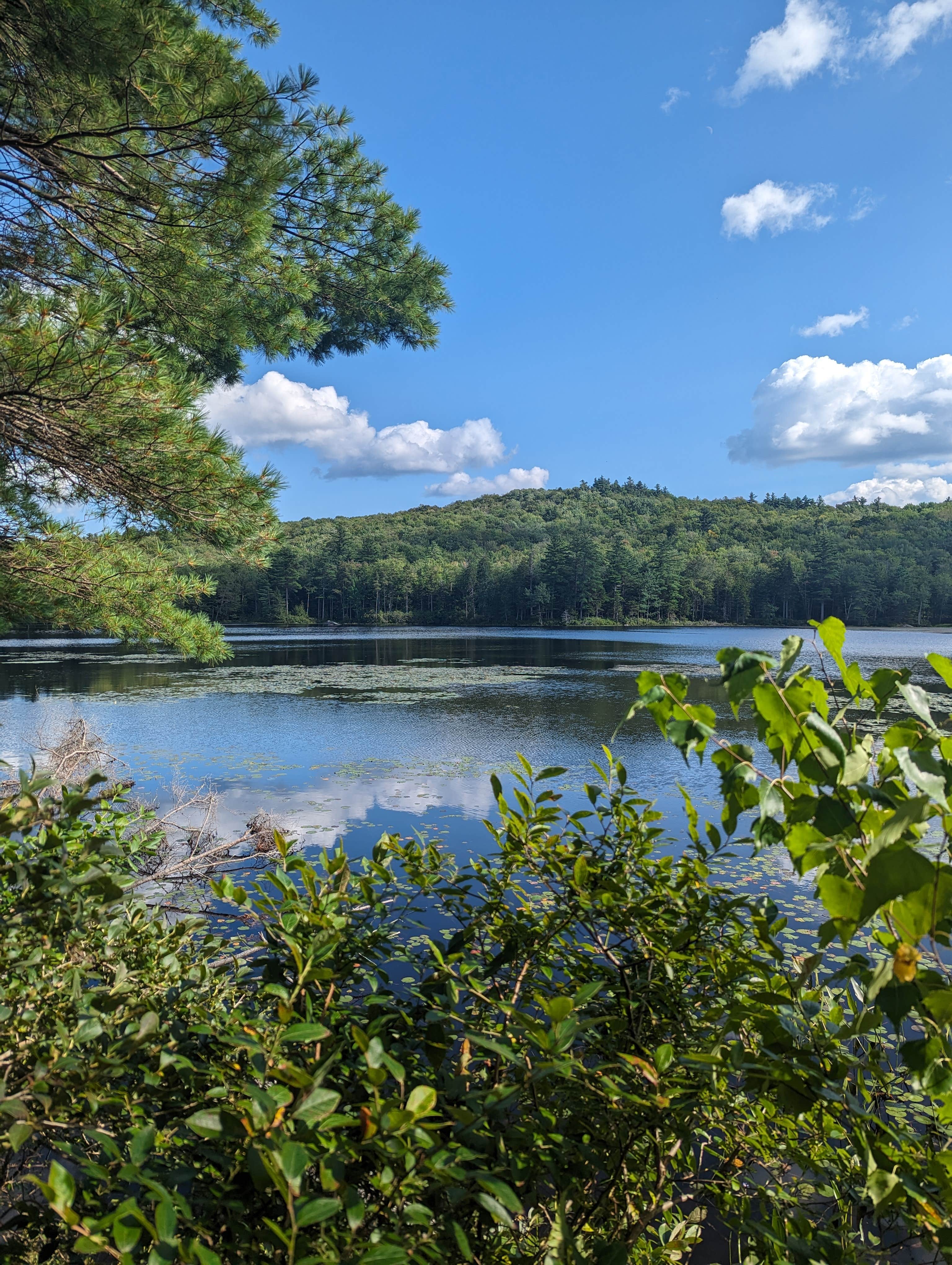 Chapman Acres Camping | Sullivan, New Hampshire