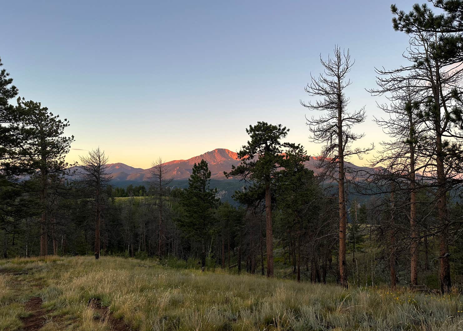 Rampart Range Area Dispersed Campsite Camping | The Dyrt