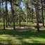 Black Hills National Forest Cook Lake Campground | Sundance, Wyoming