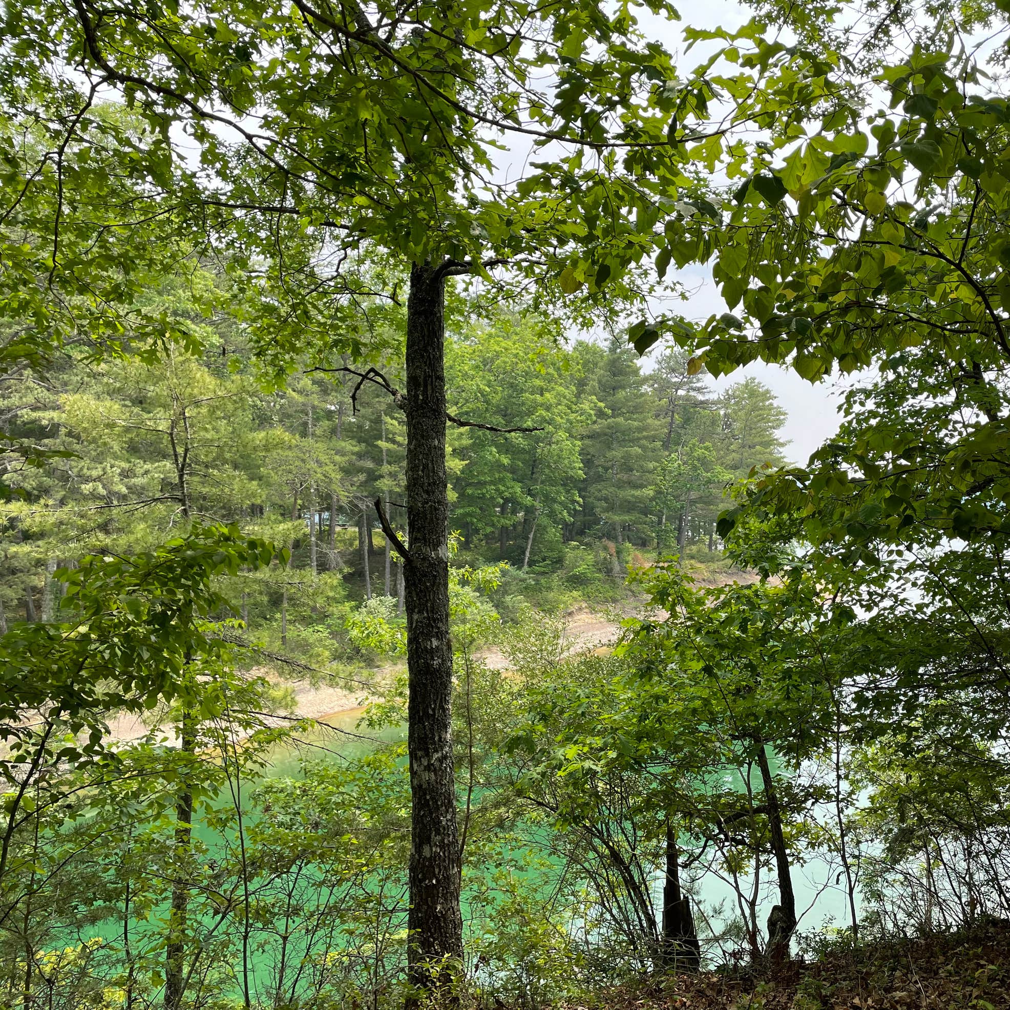 Bolar Mountain Recreation Area Camping | Warm springs, VA