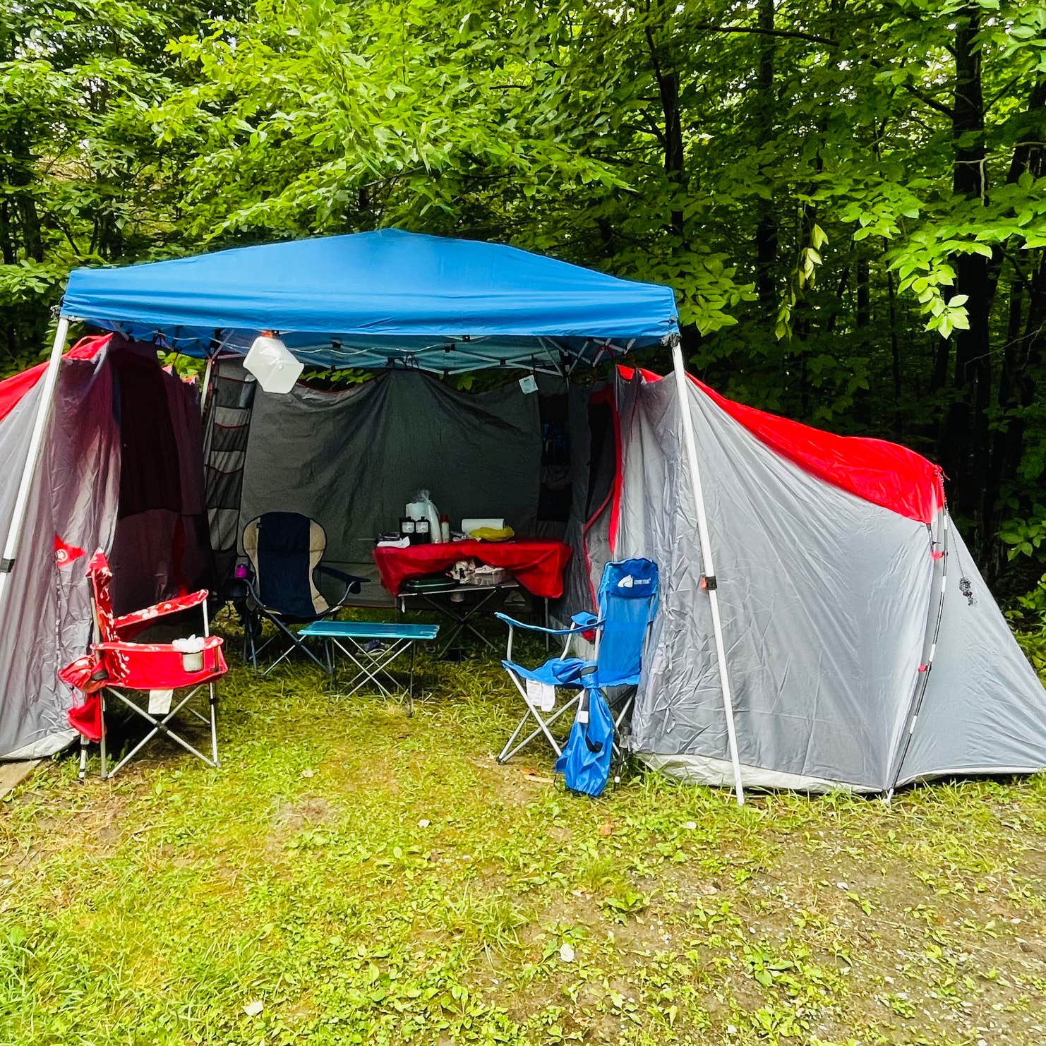 Pickerel Point Campground — Promised Land State Park | Skytop, Pennsylvania