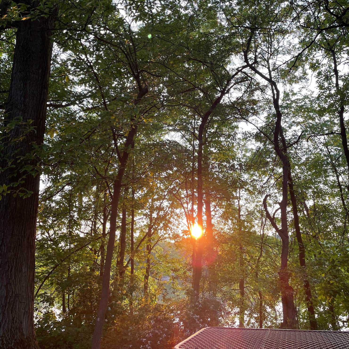 Shenango Campground | Transfer, Pennsylvania