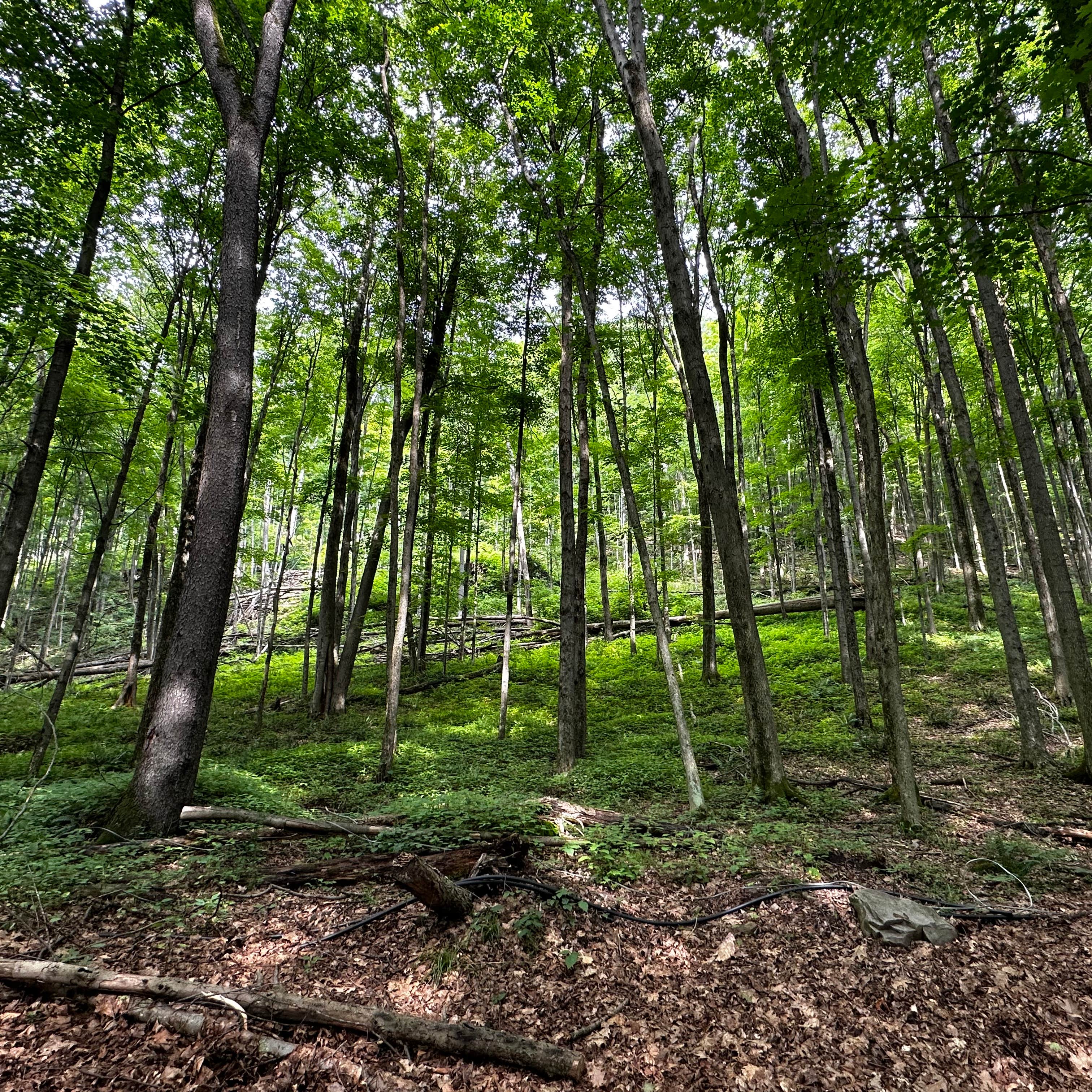 Hillside Campgrounds | Kingsley, Pennsylvania