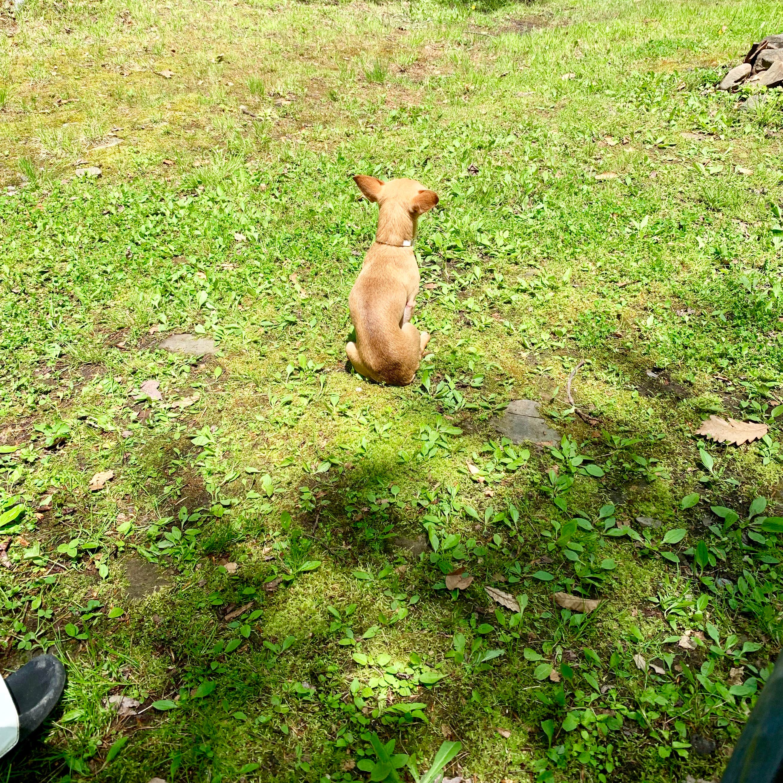 Oneida Campground & Lodge | Thompson, Pennsylvania