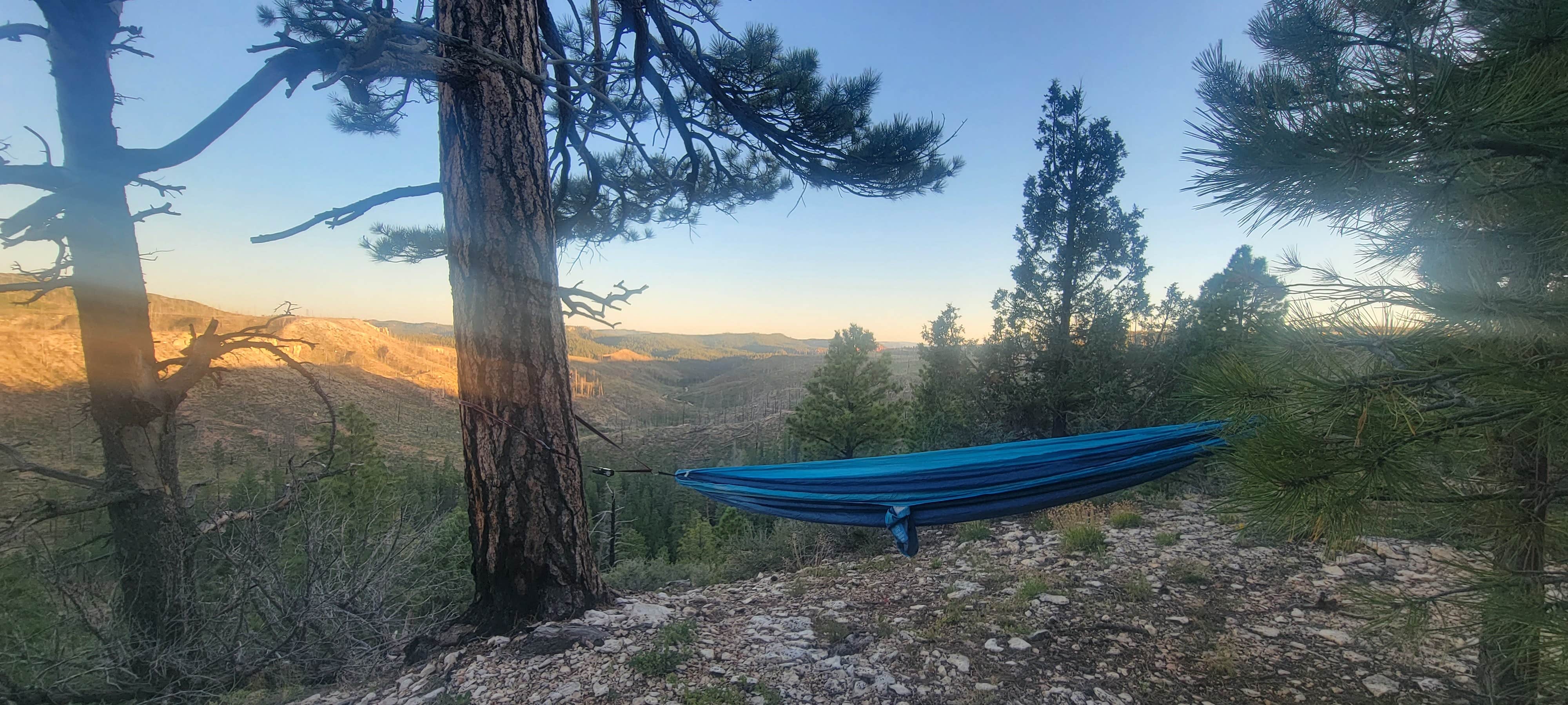 Harris Rim & Stout Canyon Dispersed Camping | Alton, UT