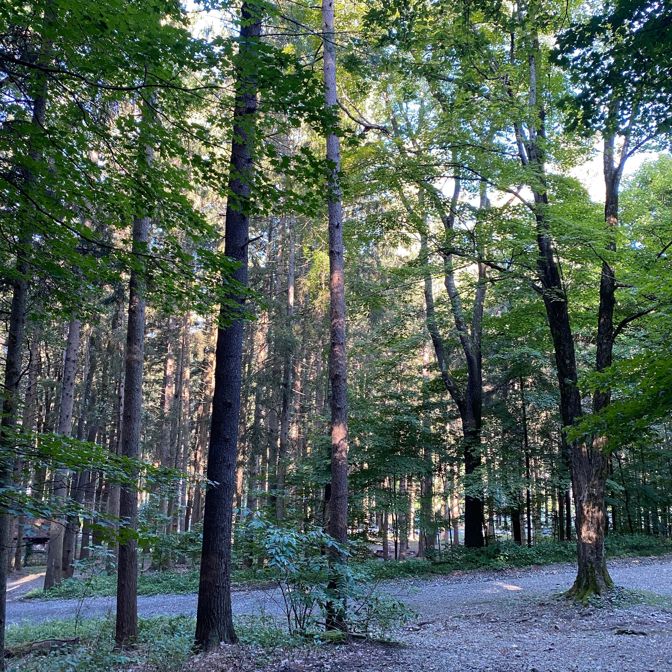 Copake Falls Area — Taconic State Park Camping | Copake Falls, New York