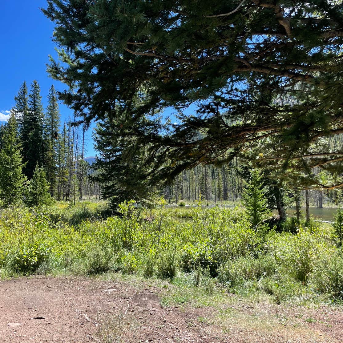 Sawmill Gulch Camping | Jefferson, Colorado