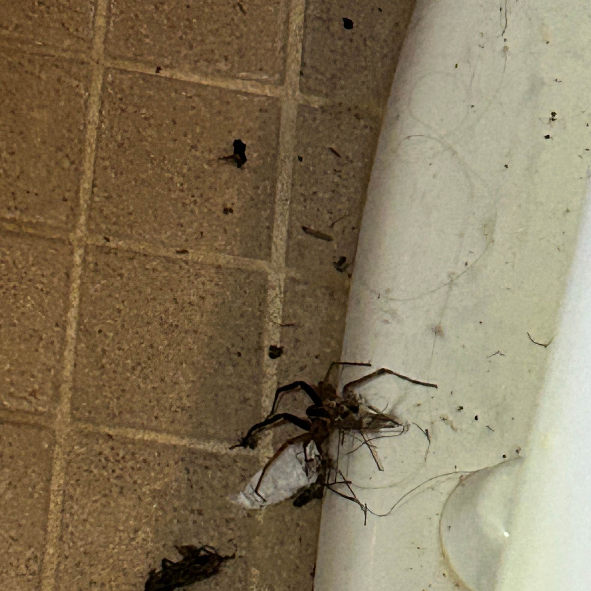 Percy Quin State Park Campground | McComb, Mississippi