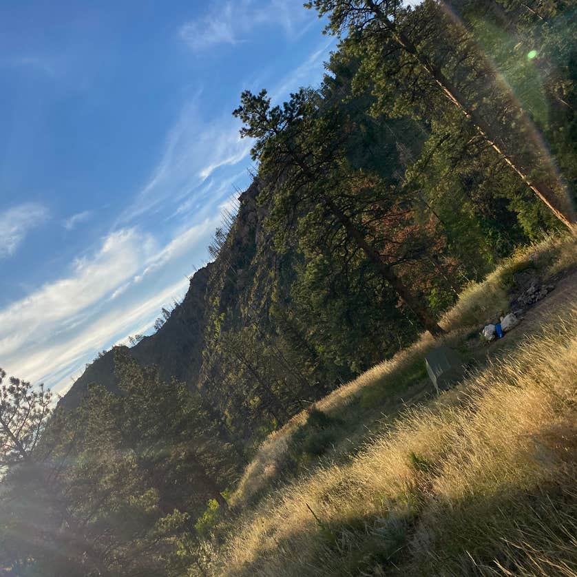 Pingree Road Dispersed Camping | Red Feather Lakes, CO