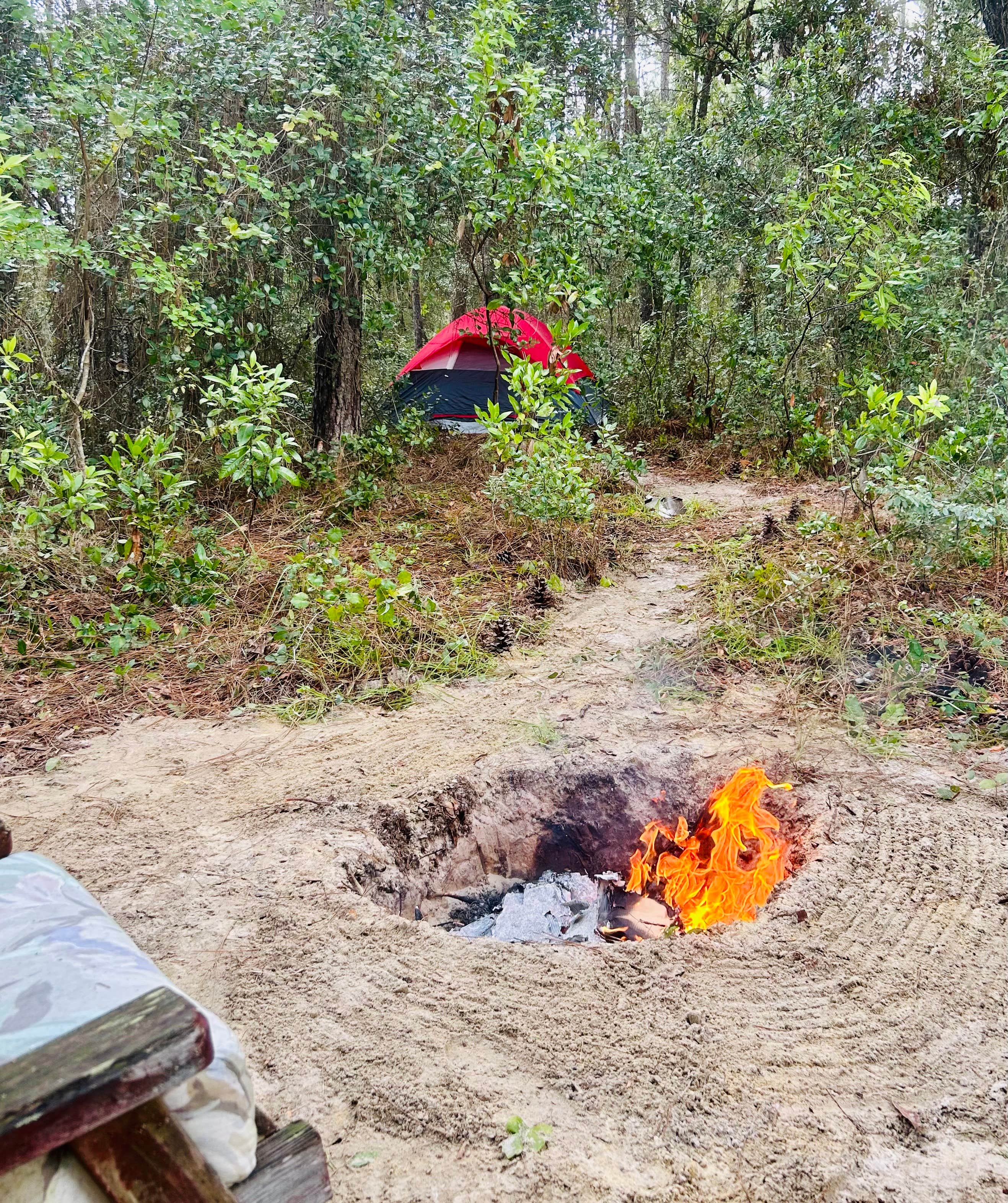Higher Ground Camping | Inverness, FL