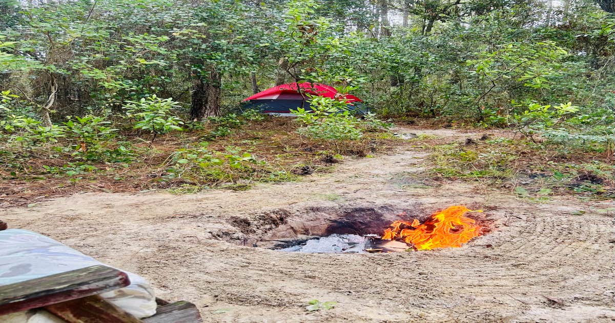 Higher Ground Camping | Inverness, Florida