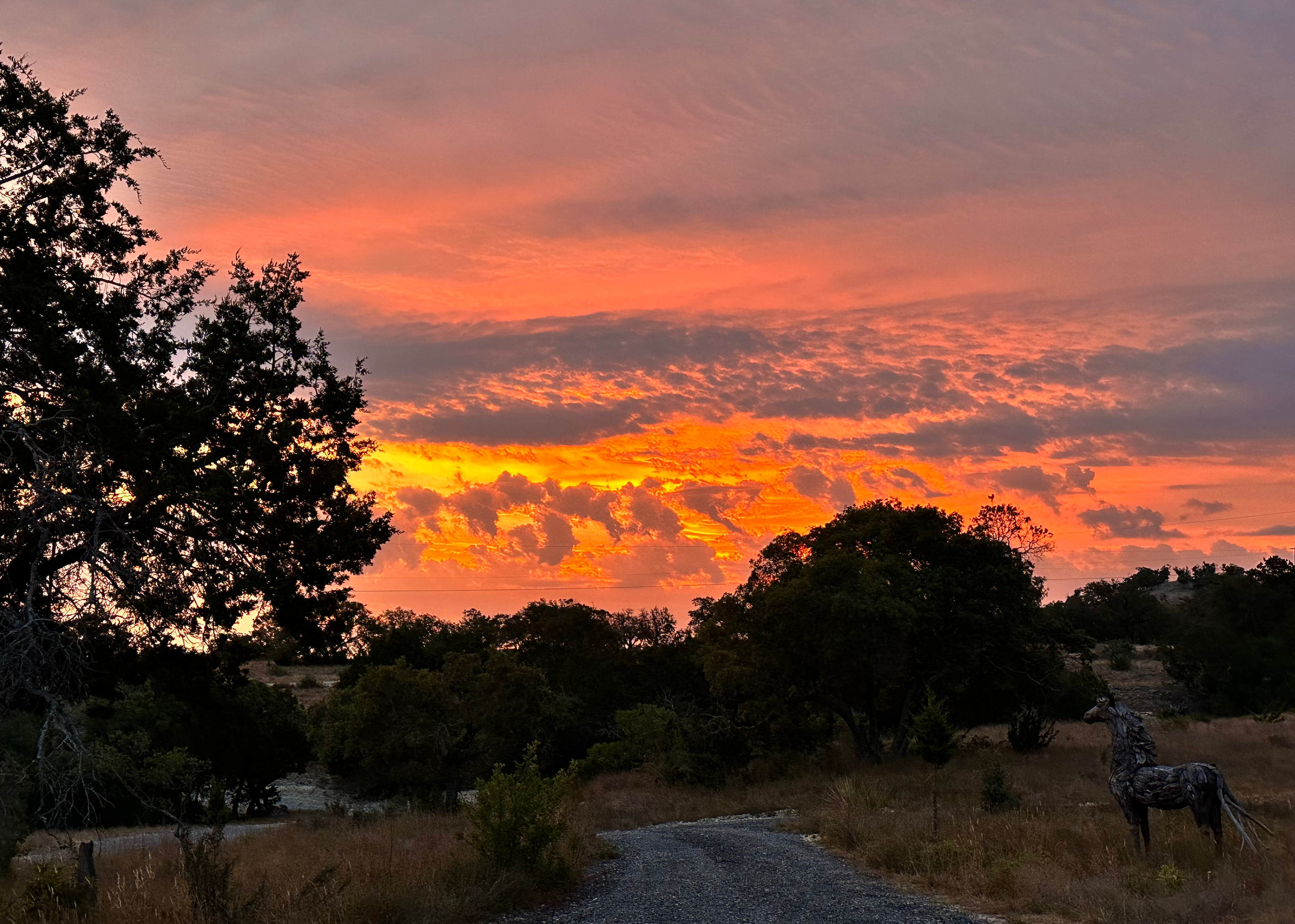 Redneck Paradise Camping | The Dyrt