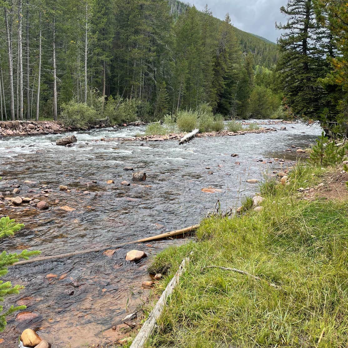 Ashley National Forest Riverview Campground Camping | The Dyrt