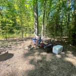 Hearts Content Recreation Area Camping | Tidioute, Pennsylvania