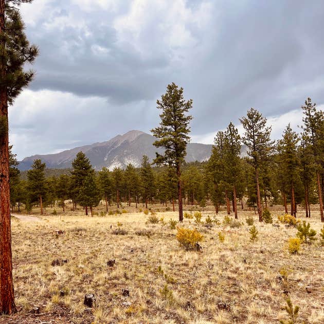 Raspberry Gulch Dispersed Site Camping | Nathrop, CO