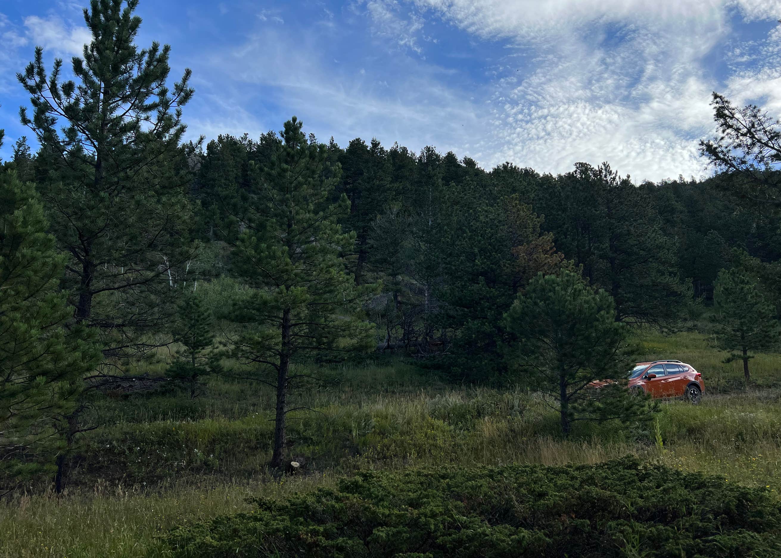 Hell Canyon Dispersed Camping | The Dyrt