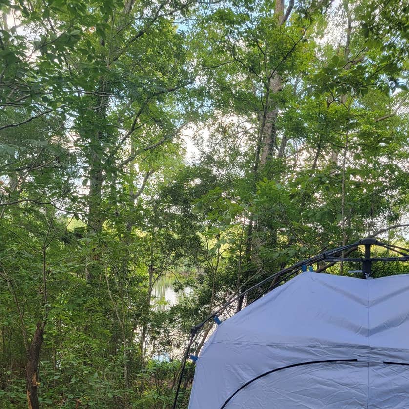 Mr. Levy's Riceland Farm Camping | Georgetown, South Carolina