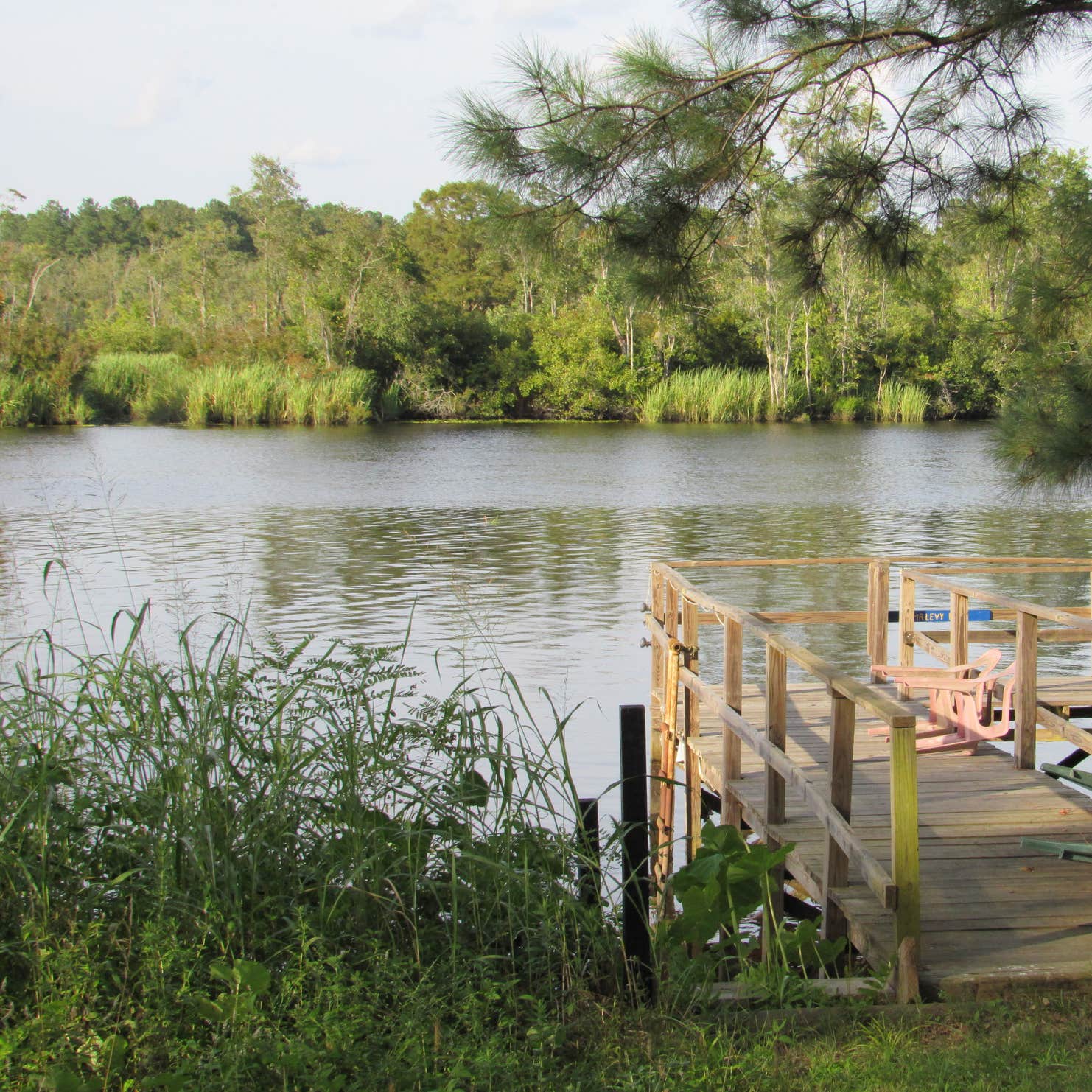 Mr. Levy's Riceland Farm Camping | Georgetown, SC