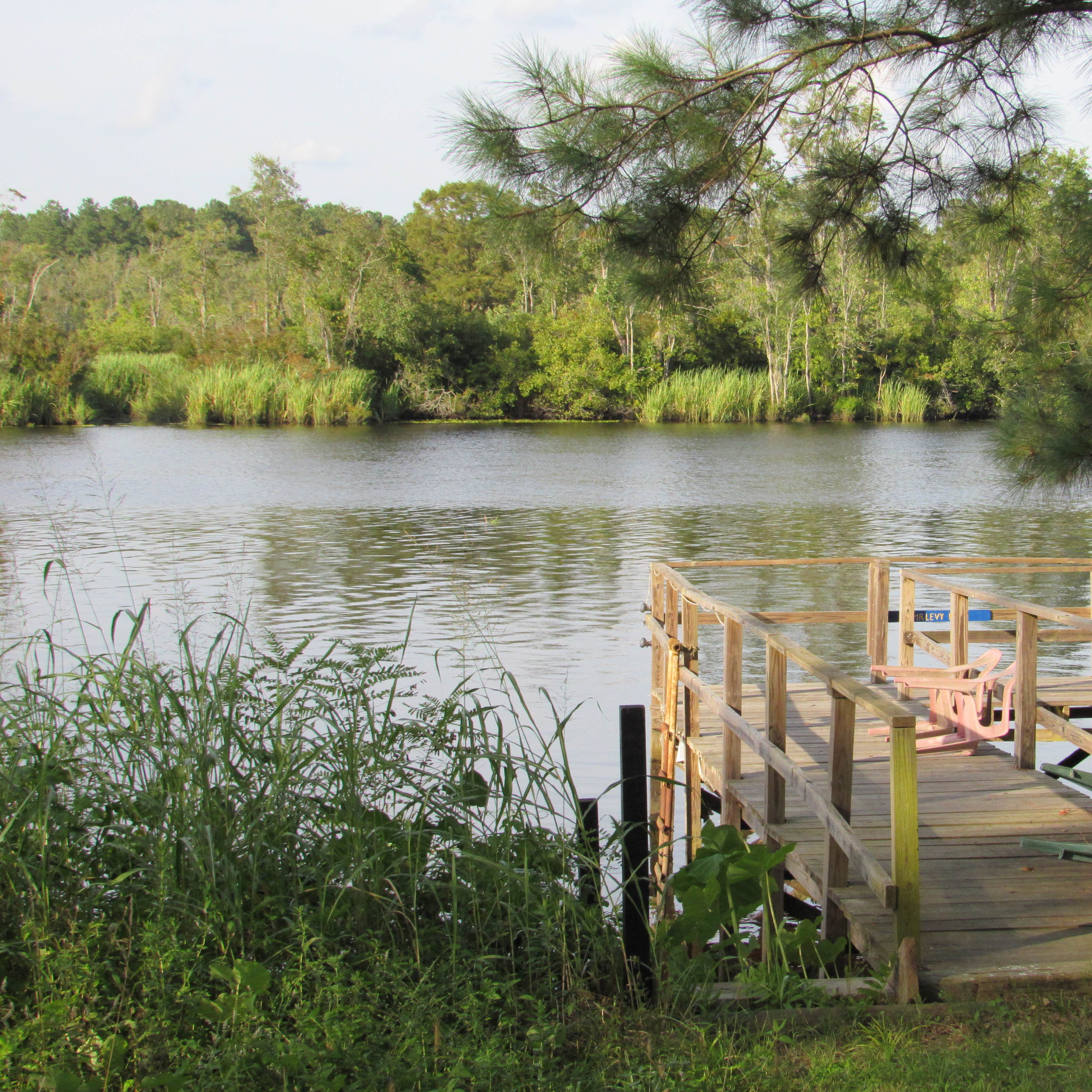 Mr. Levy's Riceland Farm Camping | Georgetown, South Carolina