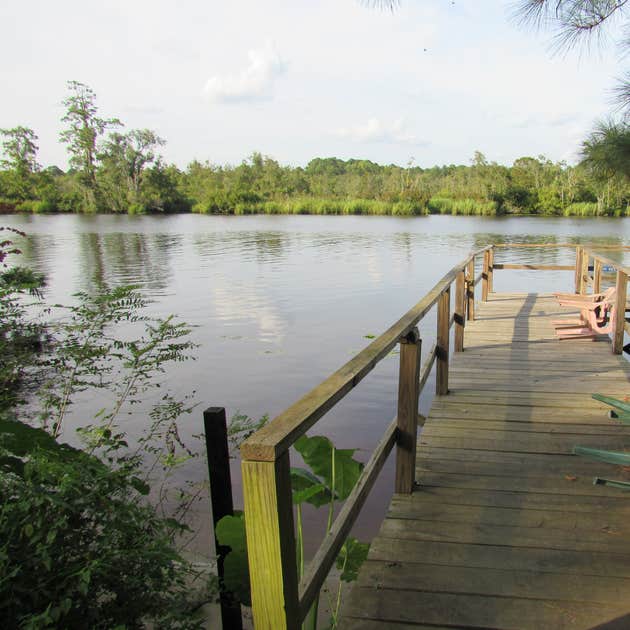 Mr. Levy's Riceland Farm Camping | Georgetown, SC