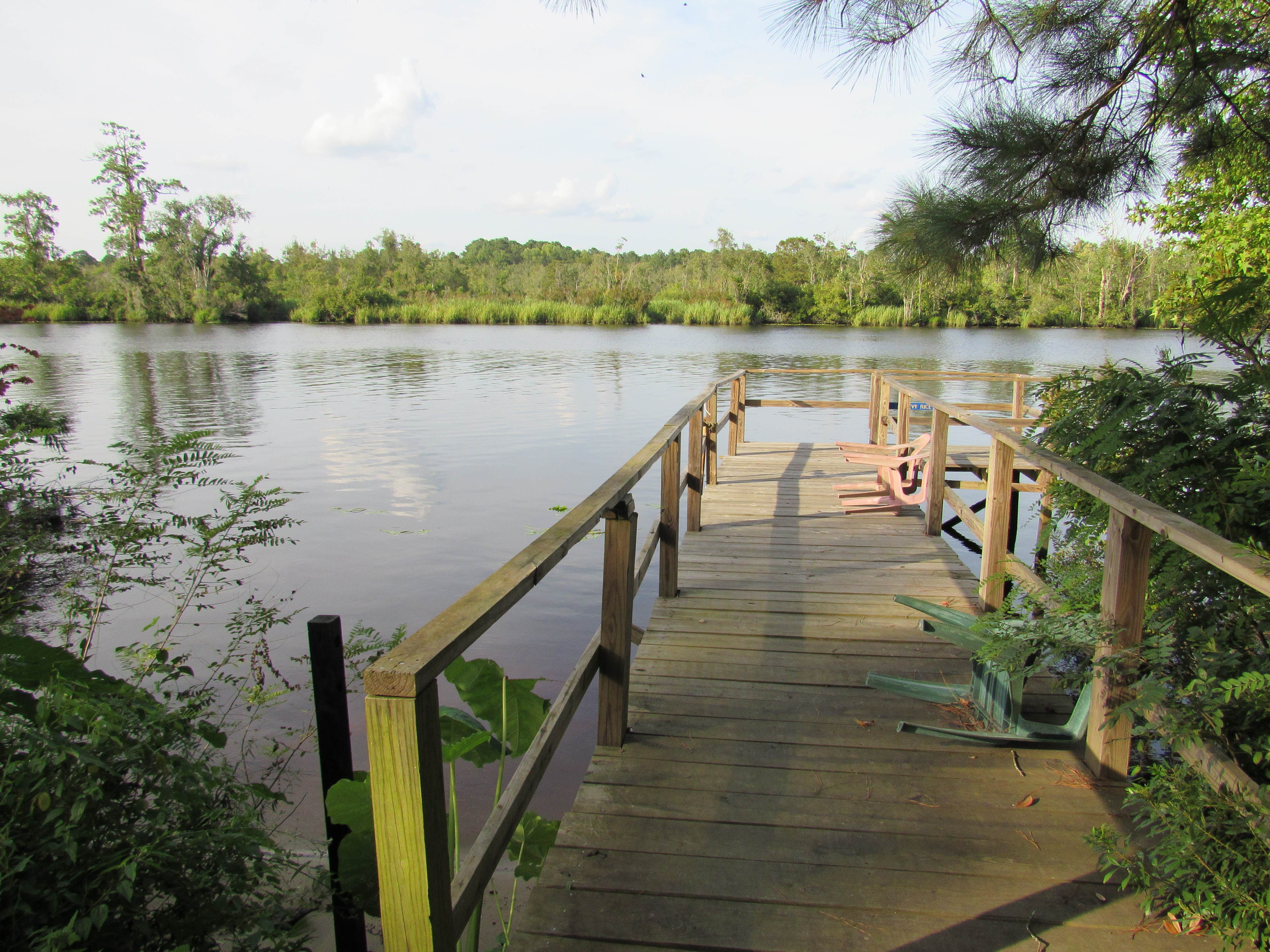 Mr. Levy's Riceland Farm Camping | Georgetown, SC