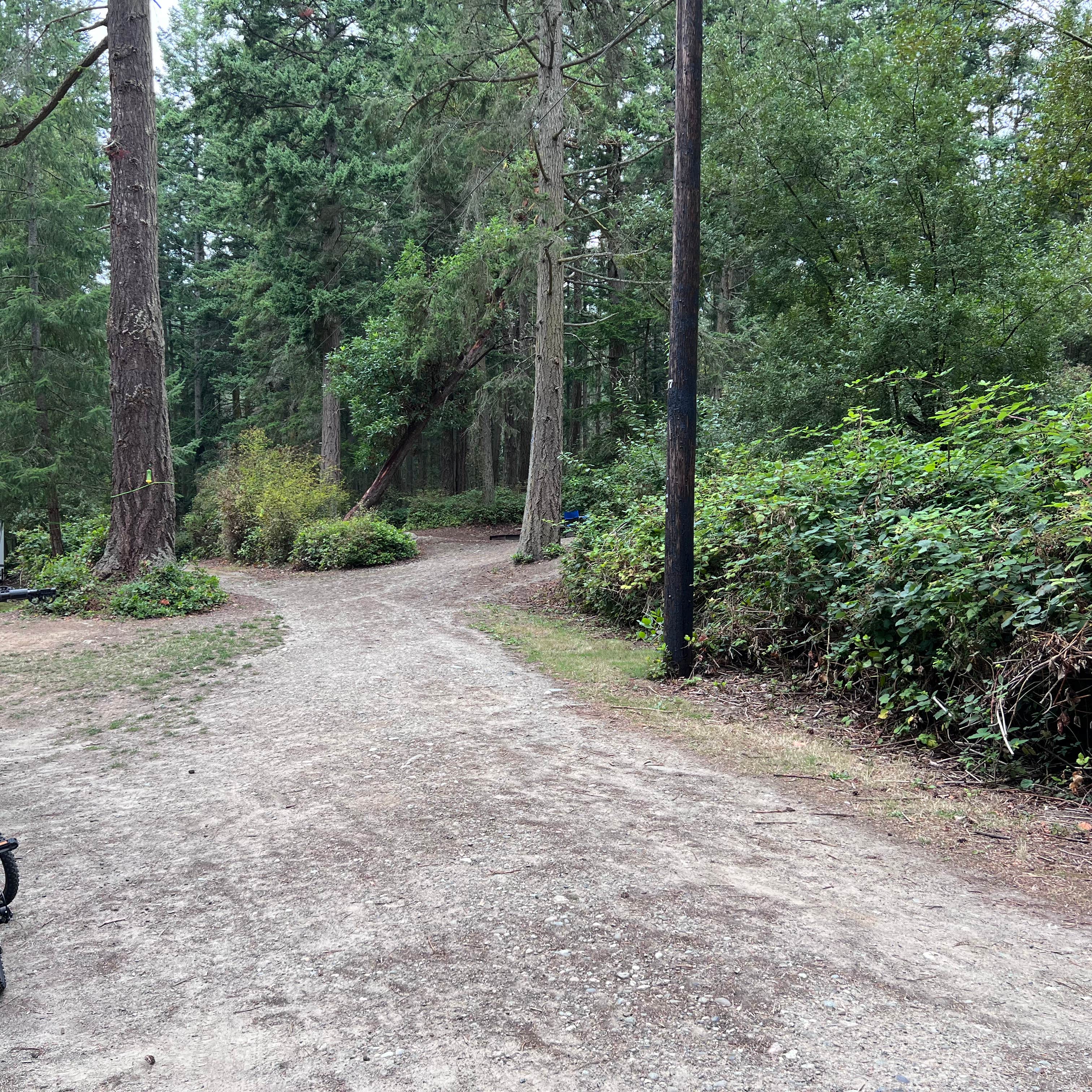 Camano Island State Park Campground | Camano Island, WA