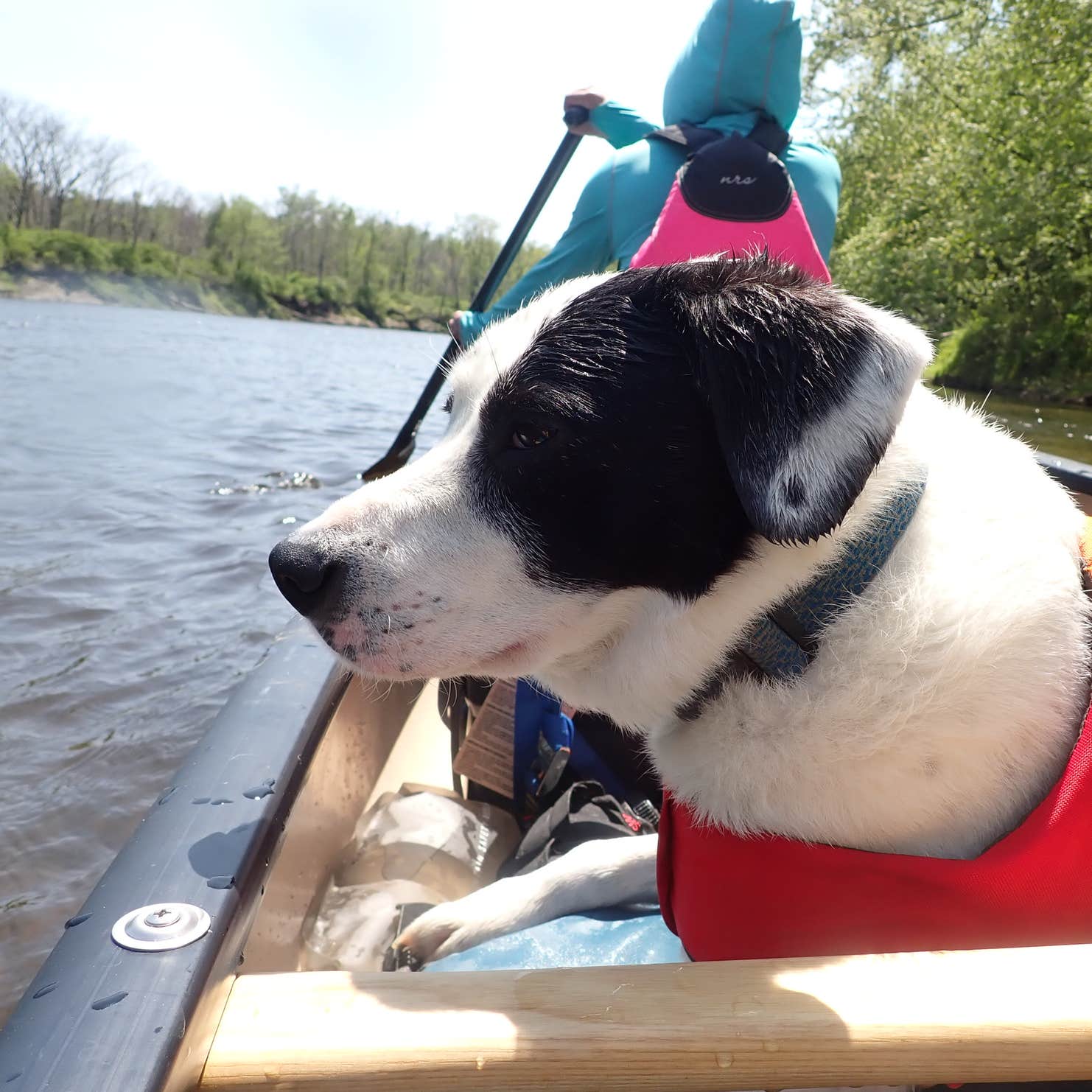 Lyman Falls State Park Campground | North Stratford, VT