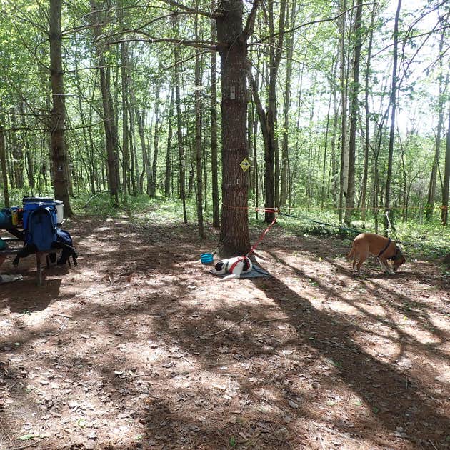 Scott C. Devlin Memorial Camping | Guildhall, Vermont