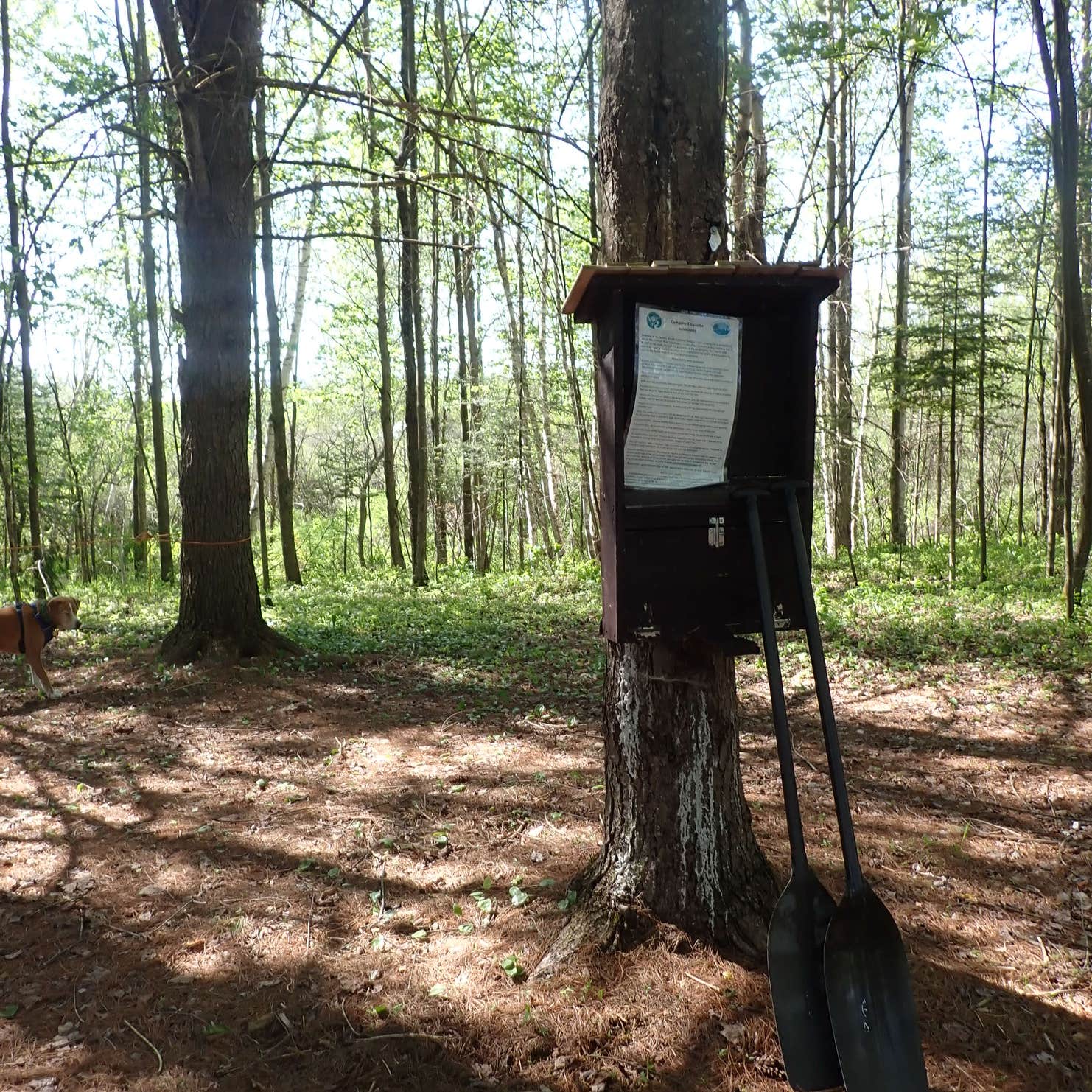 Scott C. Devlin Memorial Camping | Guildhall, Vermont