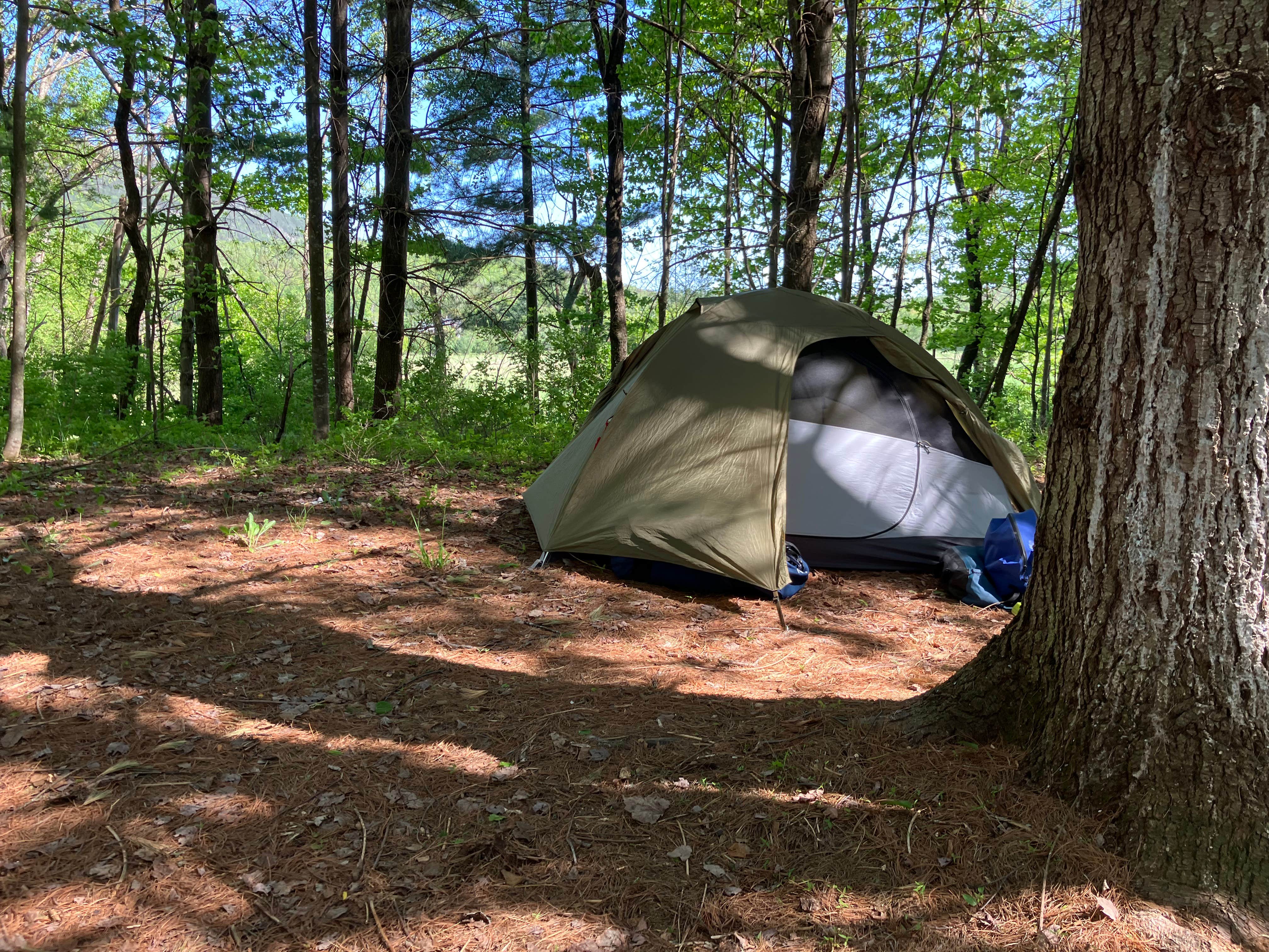 Scott C. Devlin Memorial Camping | Guildhall, VT