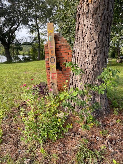 Mr. Levy's Riceland Farm Camping | Georgetown, SC
