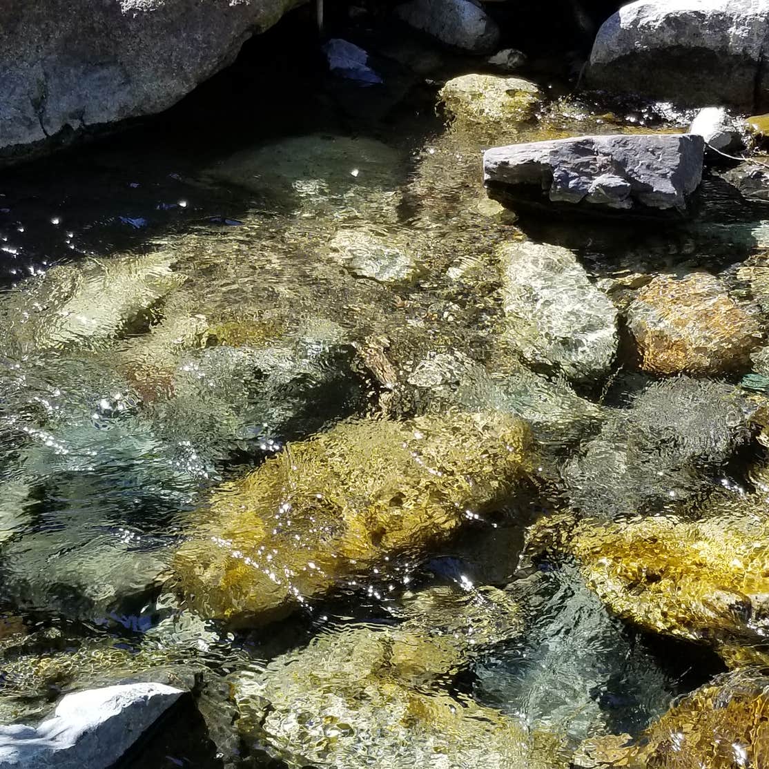 Wenatchee National Forest Swauk Campground | Okanogan-Wenatchee ...