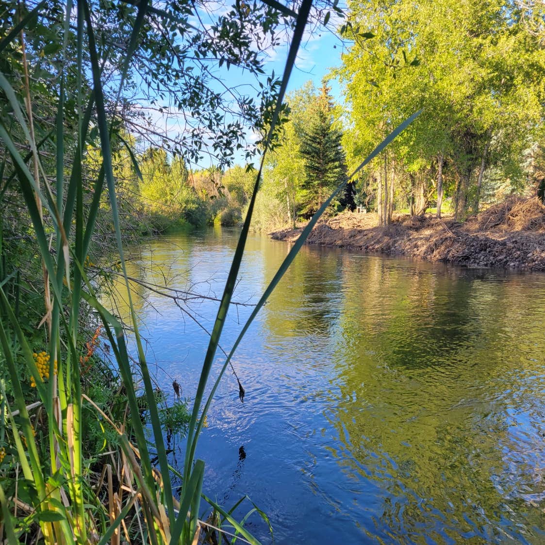 Jefferson County Lake Camping | Rigby, Idaho