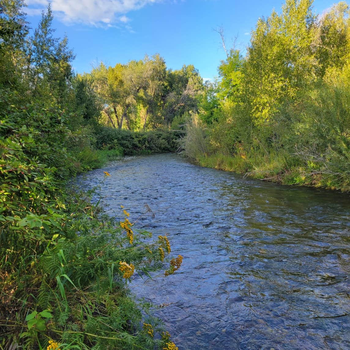 Jefferson County Lake Camping | Rigby, Idaho
