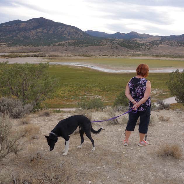 Eagle View Campground — Yuba State Park | Fayette, Utah