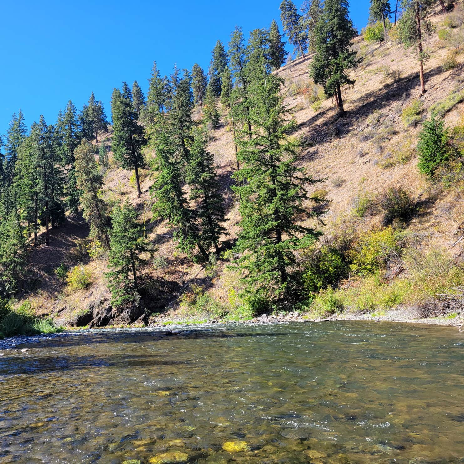 Squaw Rock RV Resort and Campground | Naches, WA