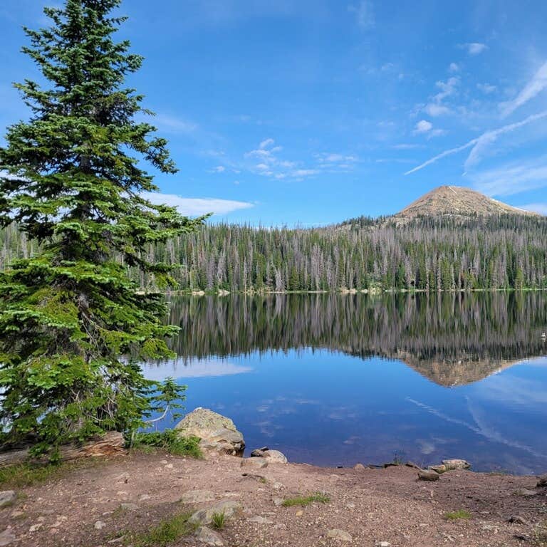 Trial Lake Campground | Kamas, UT