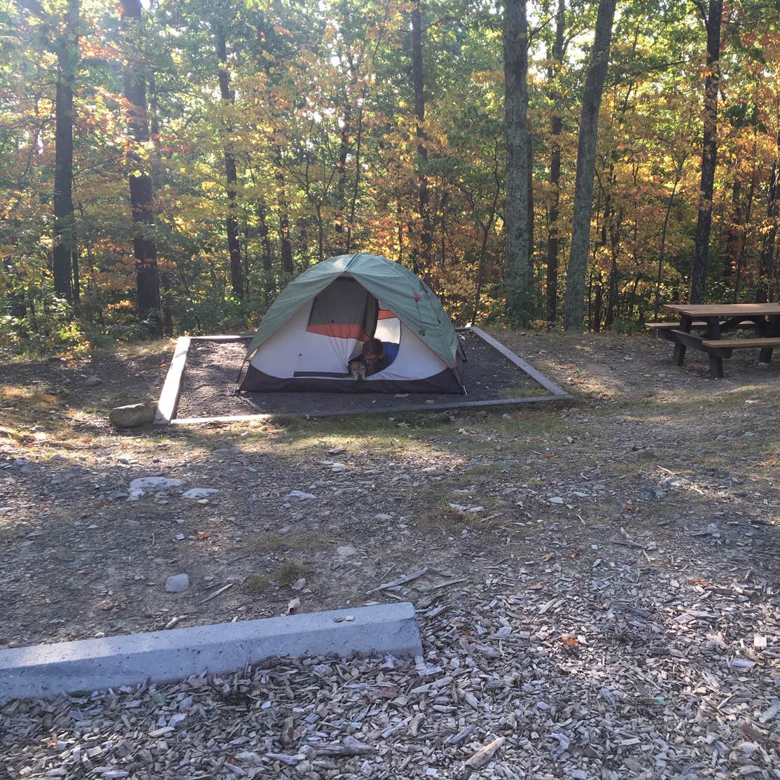 Samuel F. Pryor III Shawangunk Gateway Campground | Accord, New York