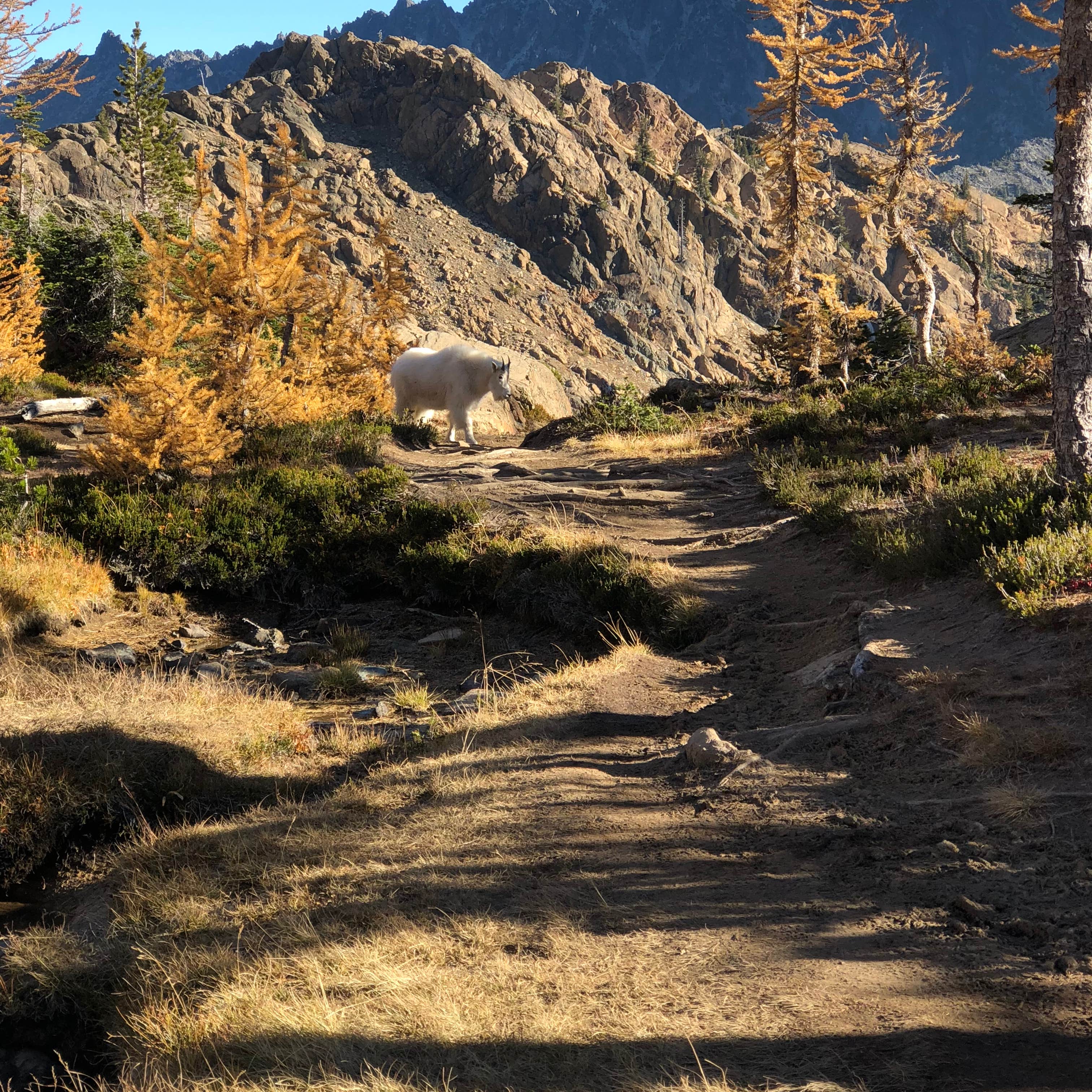 Cle Elum River Campground | Roslyn, Washington