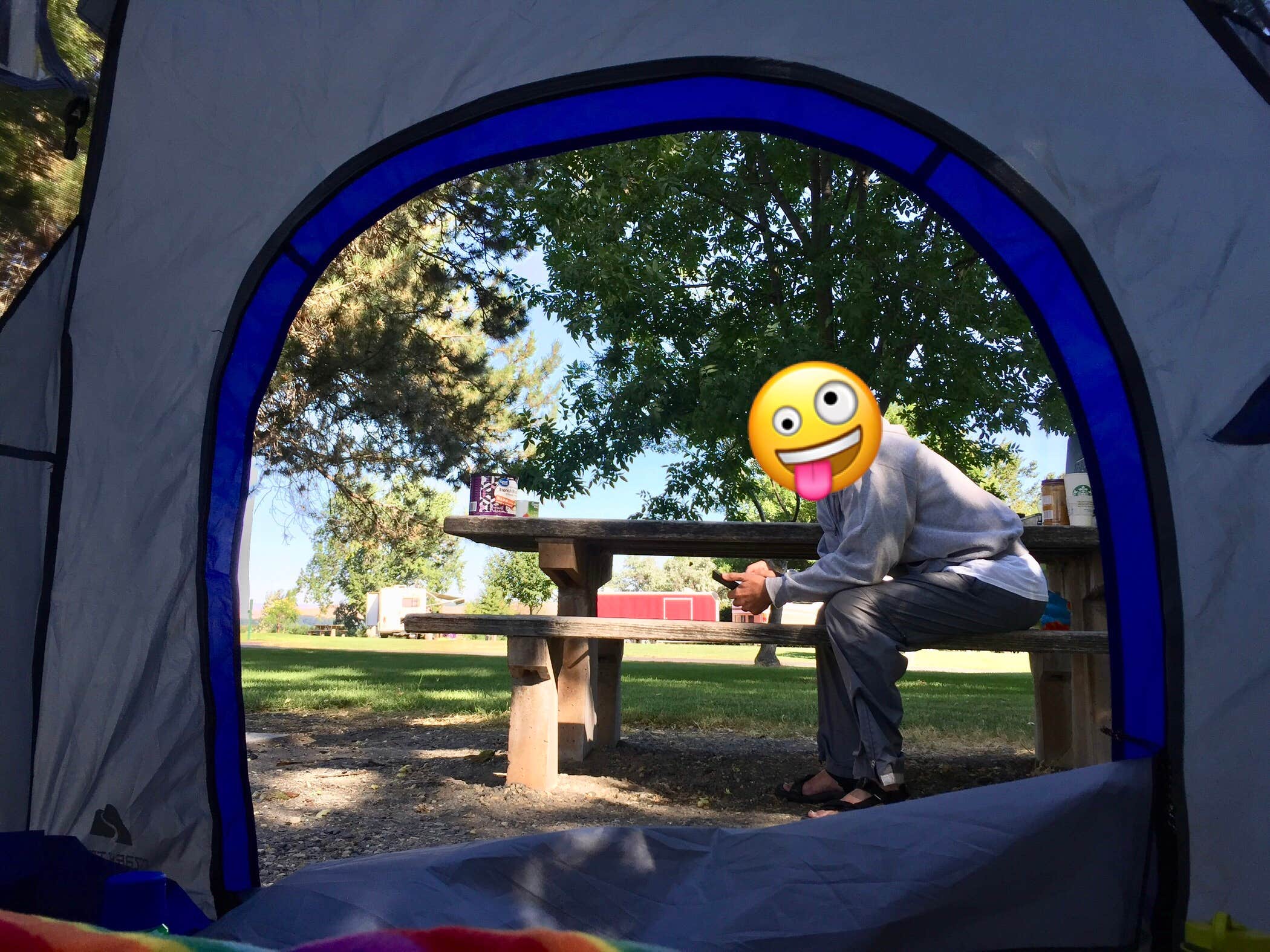 Boardman Marina Park Camping | Boardman, OR