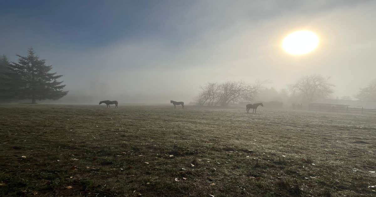 Pendarvis Farm Camping | Happy Valley, OR