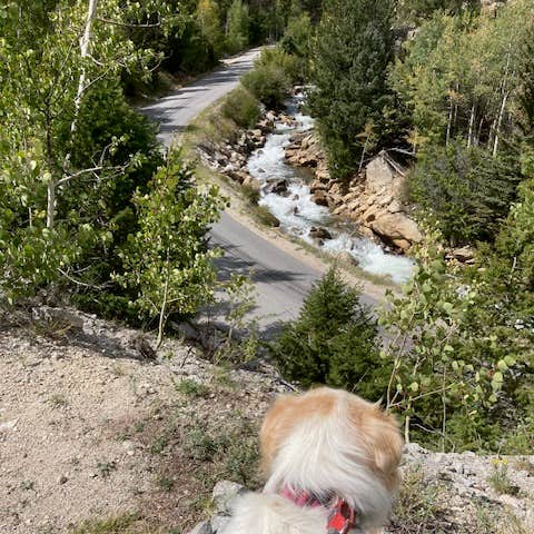 Cascade (colorado) Camping | Salida, CO