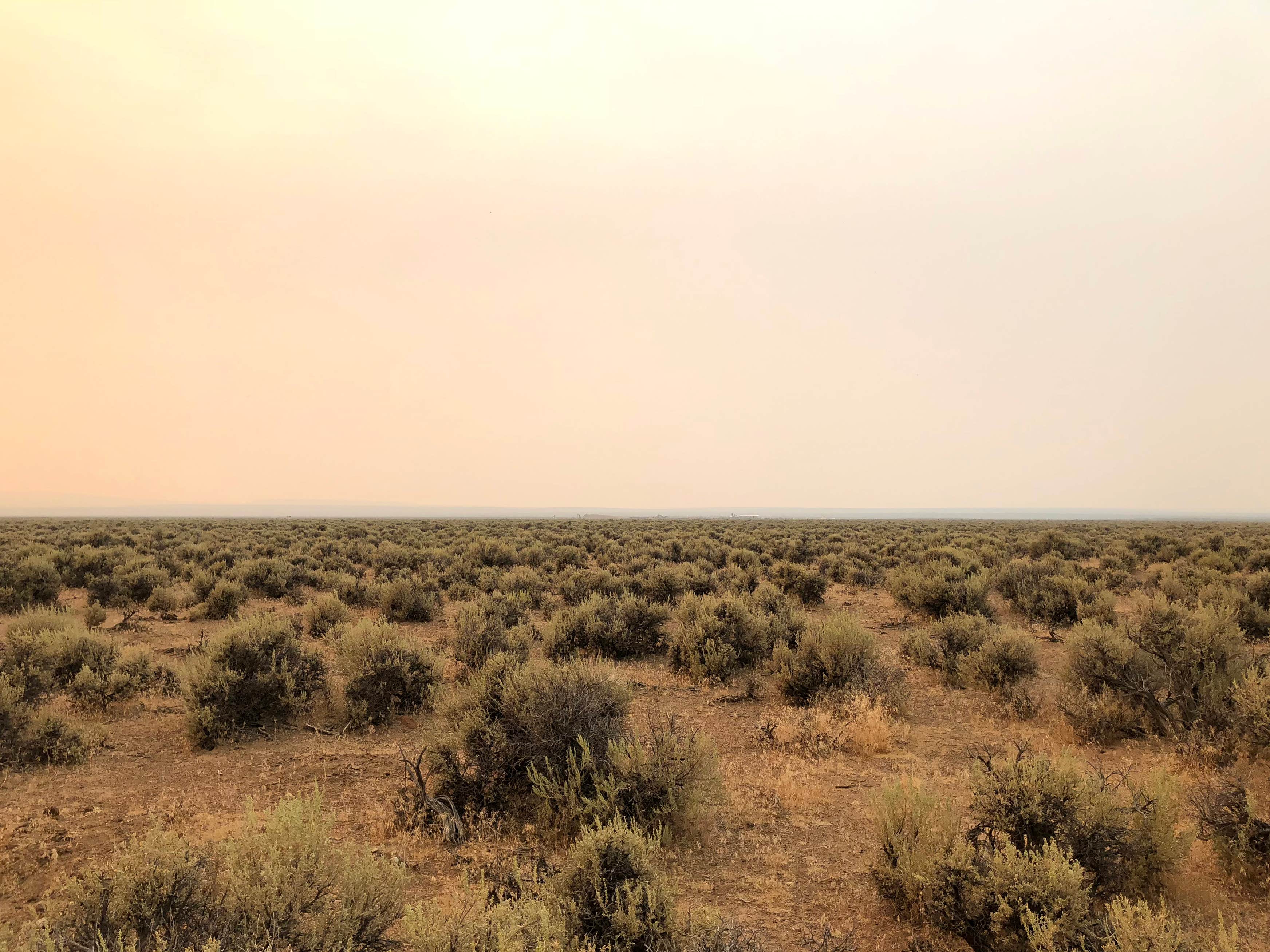 Oregon Sunstone Public Collection Area Camping | The Dyrt