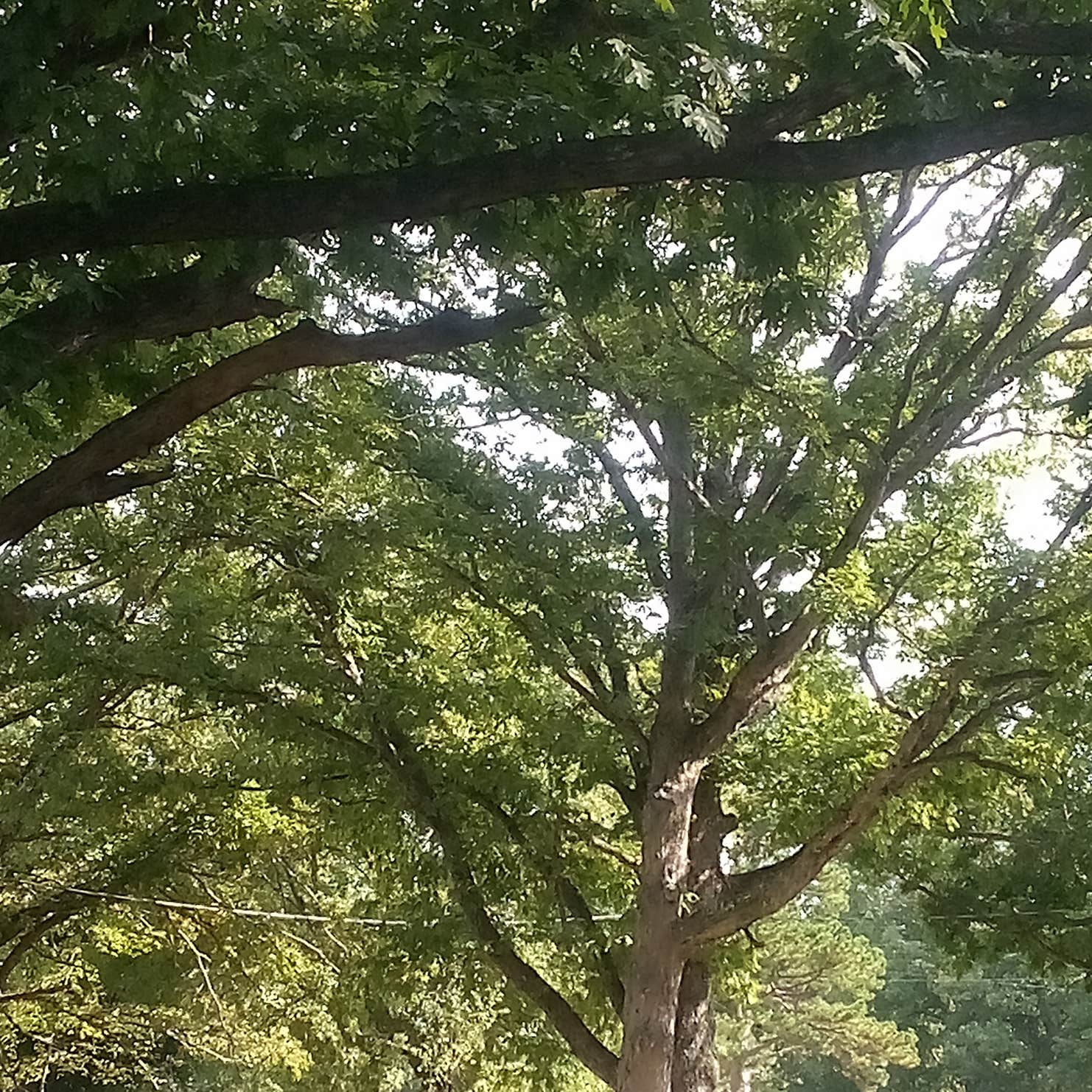 Big Spring Campground — Ozark National Scenic Riverway | Van buren, MO