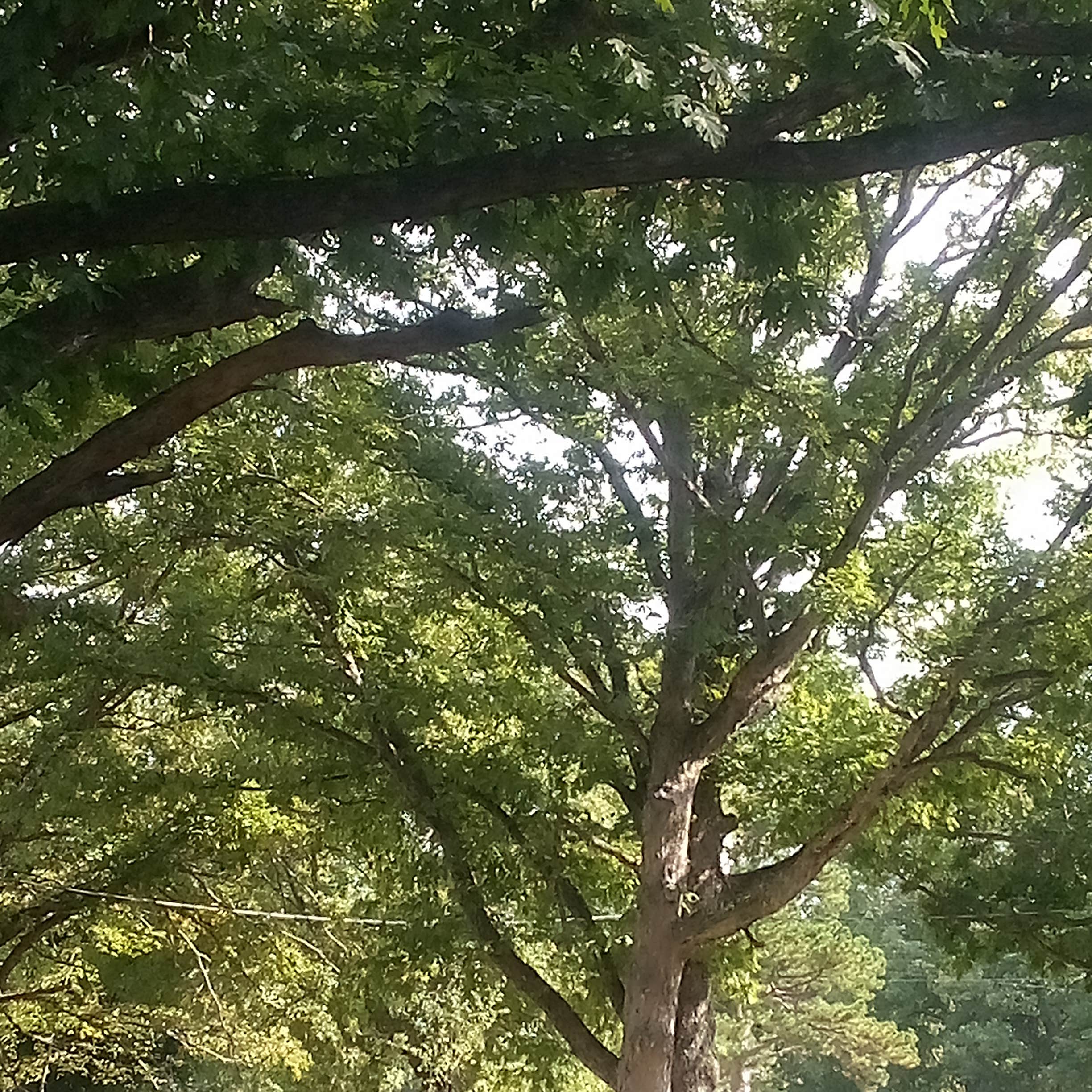 Big Spring Campground — Ozark National Scenic Riverway | Van buren, MO