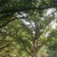 Big Spring Campground — Ozark National Scenic Riverway | Van buren, MO