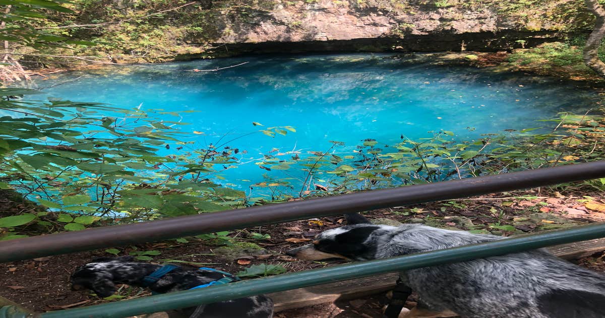 Round Spring Campground — Ozark National Scenic Riverway Camping ...