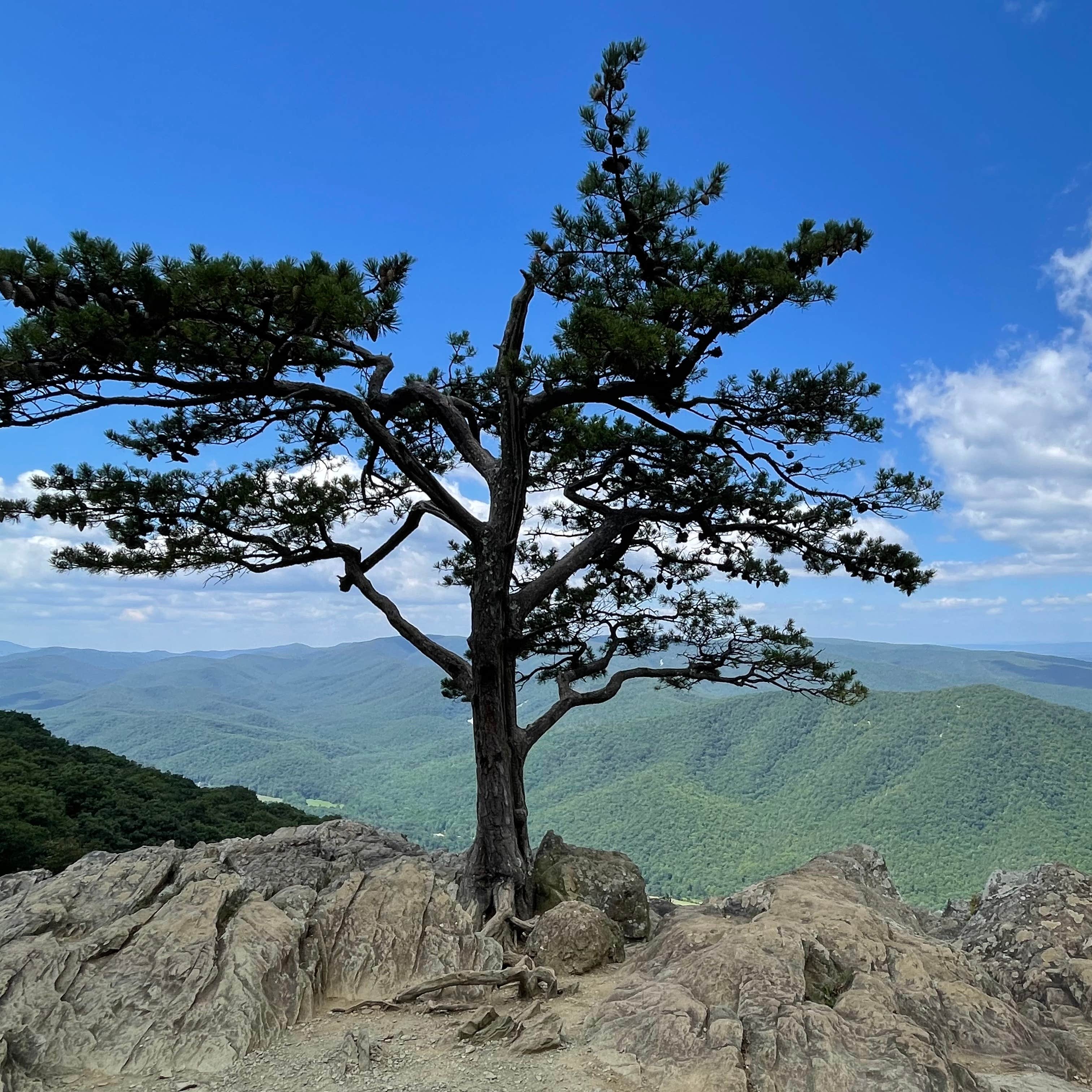 Sherando Lake Campground | Natural bridge station, VA